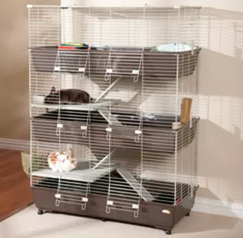 Why A Big Indoor Rabbit Cage Is Good For Your Bunny?