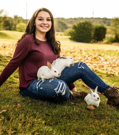 Everything You Need To Know About Californian Rabbit - Netherland Dwarf ...